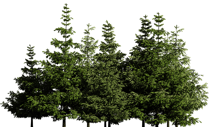 Brett Schraber Obituary (1976 - 2026) - Mound, Minnesota